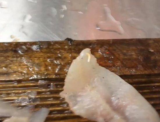 Worms in Crappies: The Nematodes Parasitic Worms